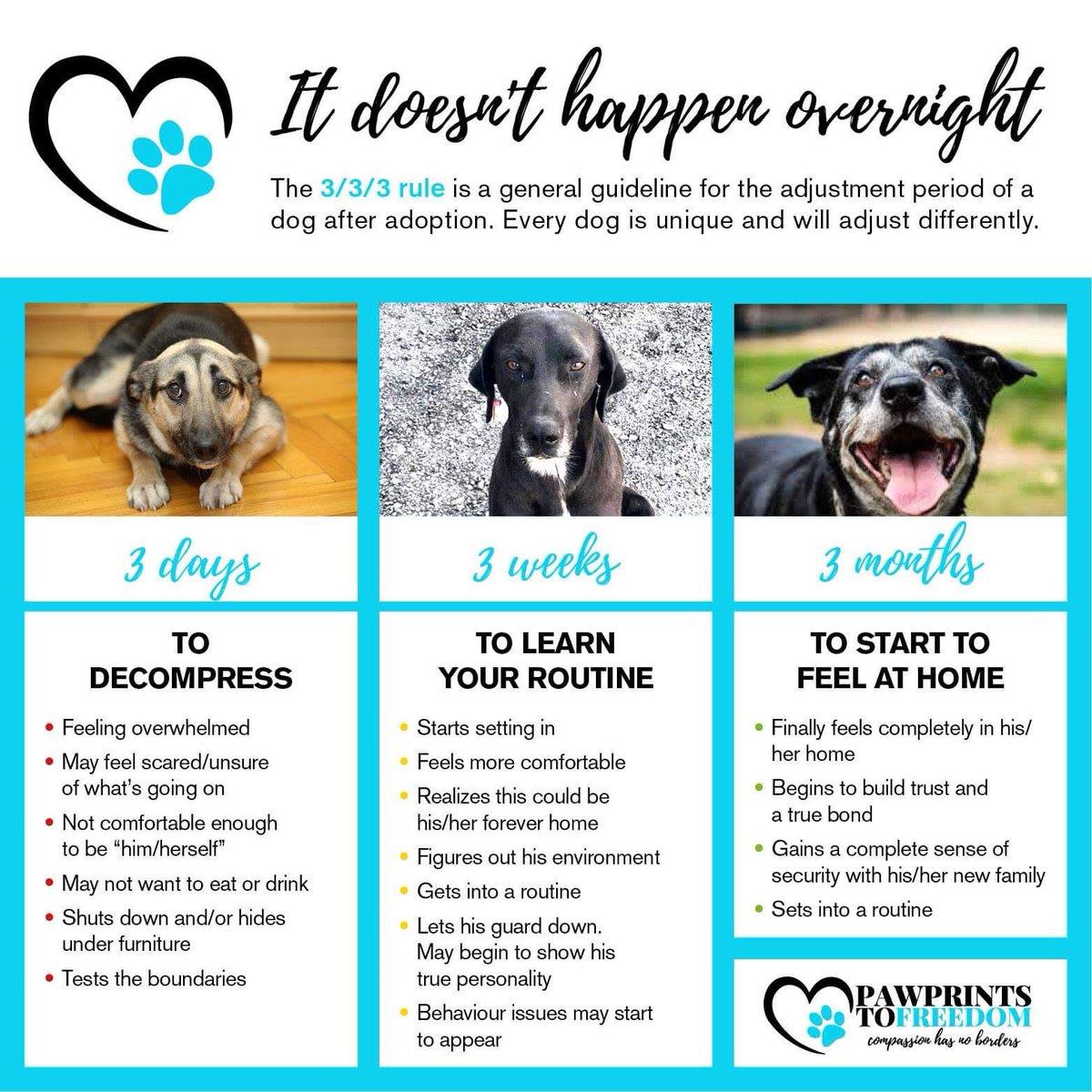 Resource Center - Chesapeake Bay Retriever Relief & Rescue